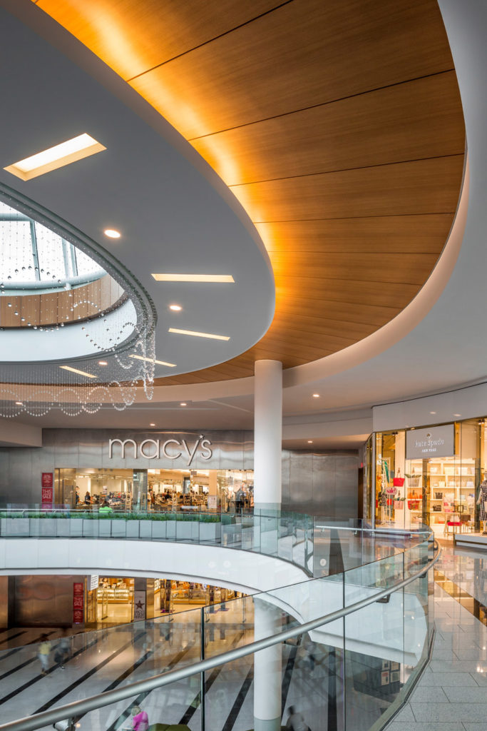 Roosevelt Field | Bliss Fasman