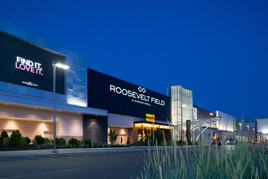 Roosevelt Field | Bliss Fasman